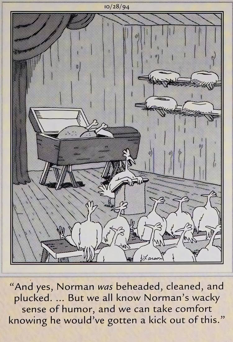 The Far Side: 10 Hilarious Comics Involving Everyone's Favorite Chickens