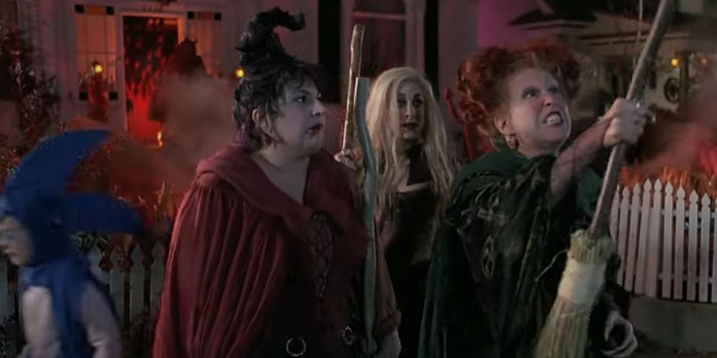 You39ll Never Believe What Max From Hocus Pocus Looks Like Why Is