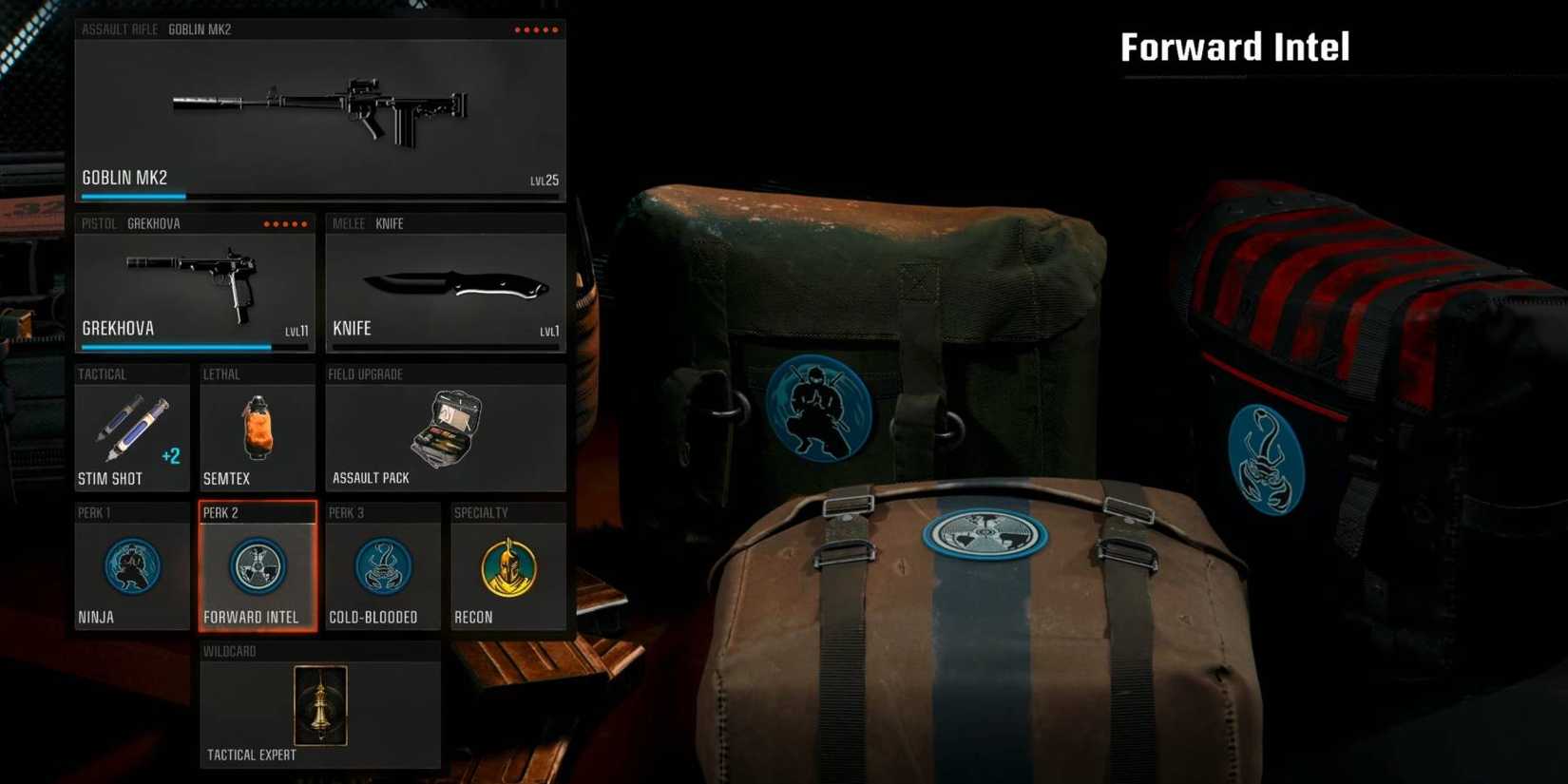 Call of Duty: Black Ops 6 - Best Goblin MK2 Loadout (Attachments, Perks ...