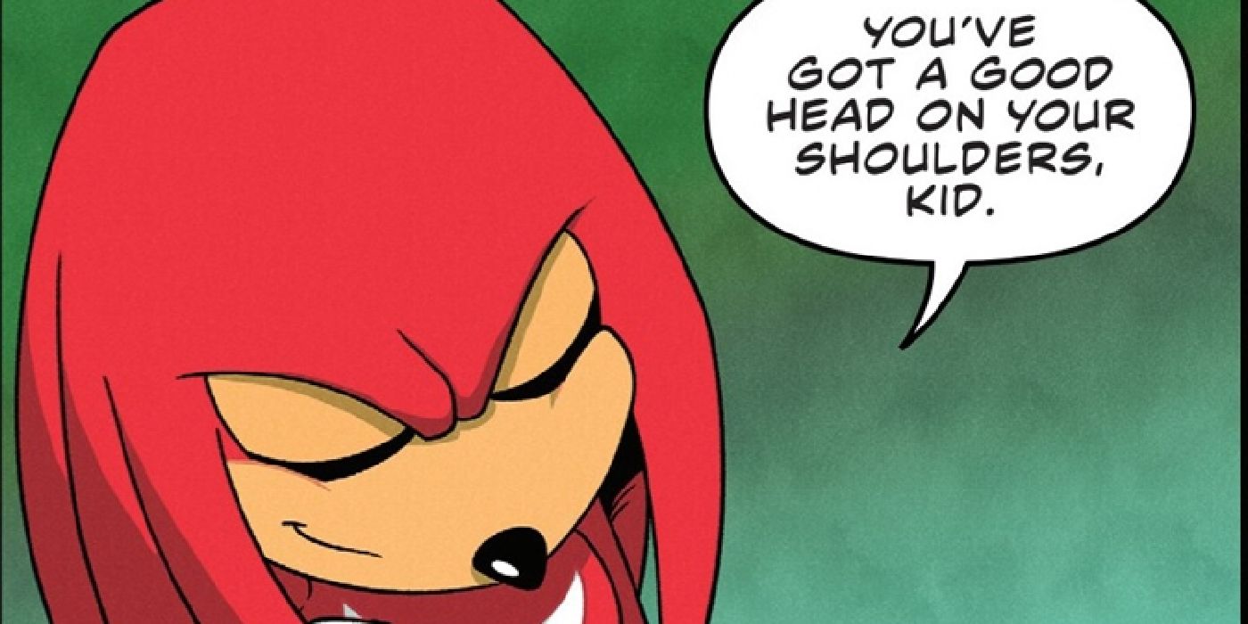 Transformation De Knuckles Le Garou Echidné