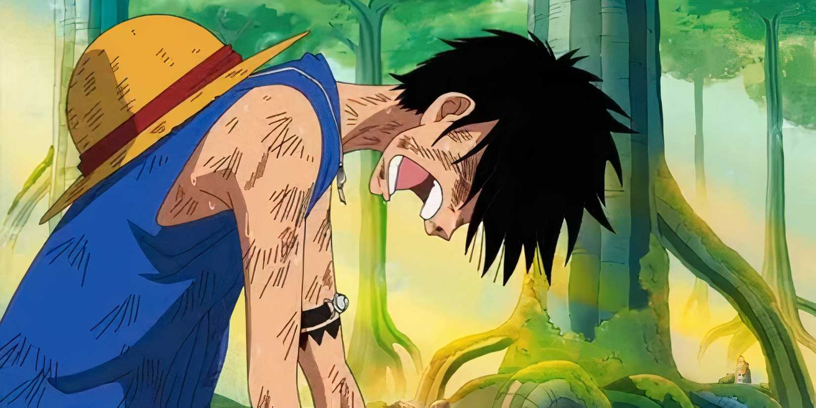 Yes, One Piece Will Soon Hit a Paywall at Crunchyroll