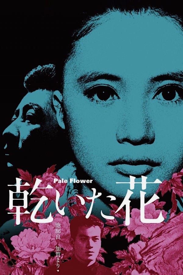 Pale Flower Summary, Trailer, Cast, Where to Watch and More