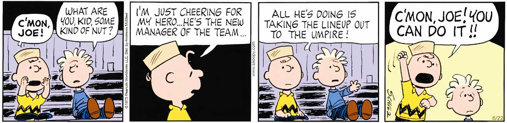 10 Hilarious Peanuts Comics About Charlie Brown's Favorite Baseball ...
