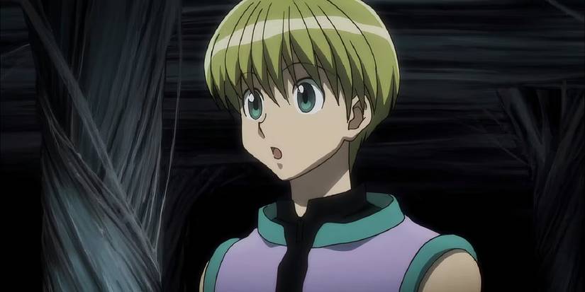 Hunter x Hunter' Phantom Troupe: Each Member's Abilities and Status in ...
