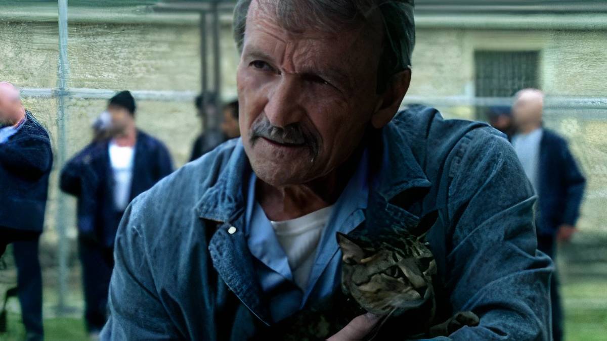 The Real-Life Mystery Behind Prison Break's Most Tragic Character Is ...