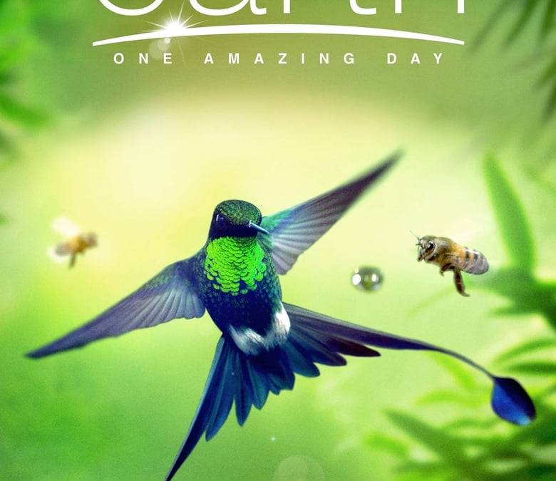 Earth: One Amazing Day Summary, Latest News, Trailer, Cast, Where to ...