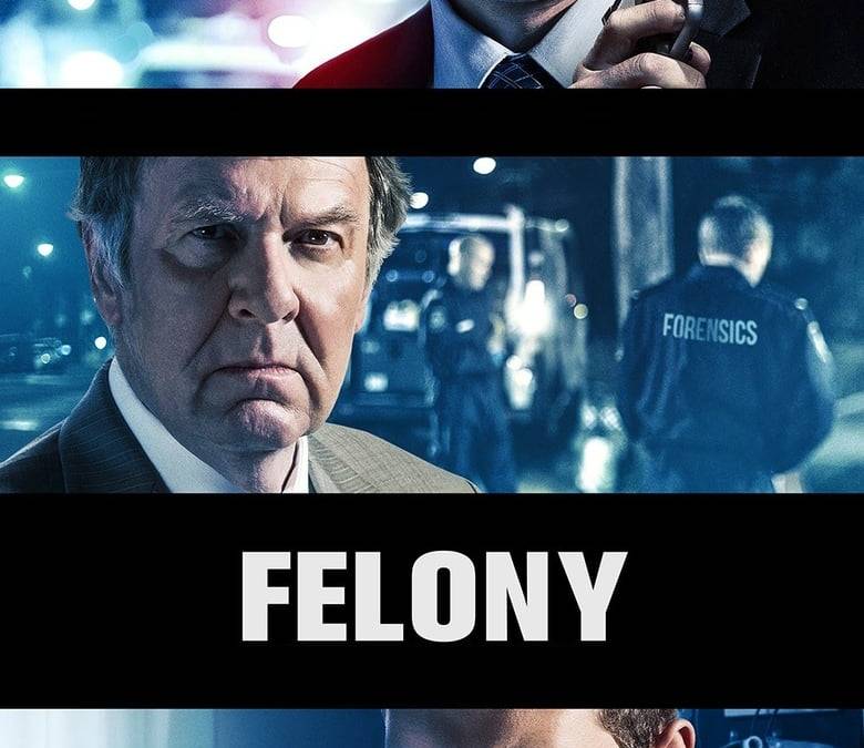 Felony Summary, Trailer, Cast, Where to Watch and More