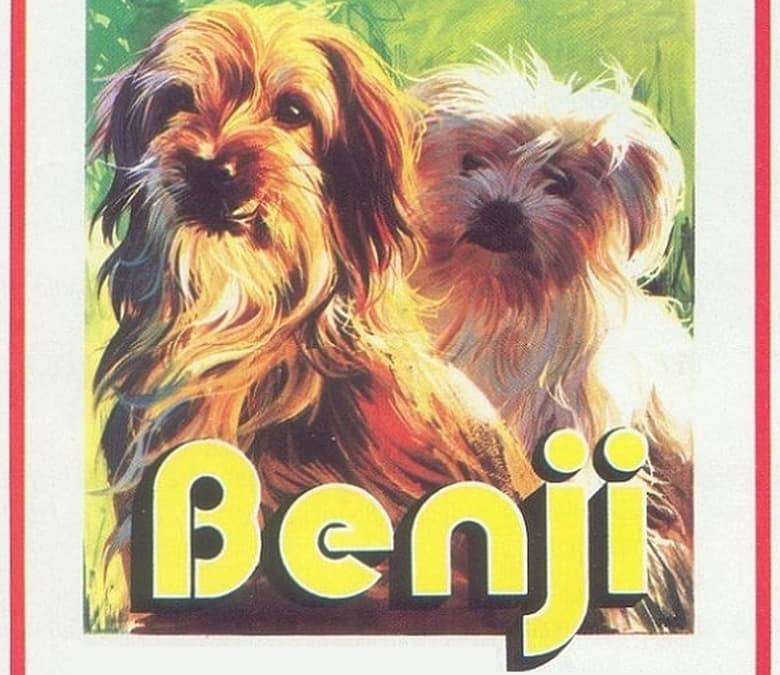 Benji Summary, Trailer, Cast, Where to Watch and More