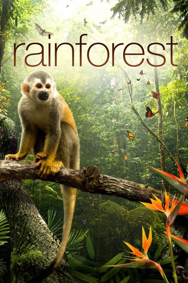 Secret Life of the Rainforest Summary, Latest News, Trailer, Cast ...