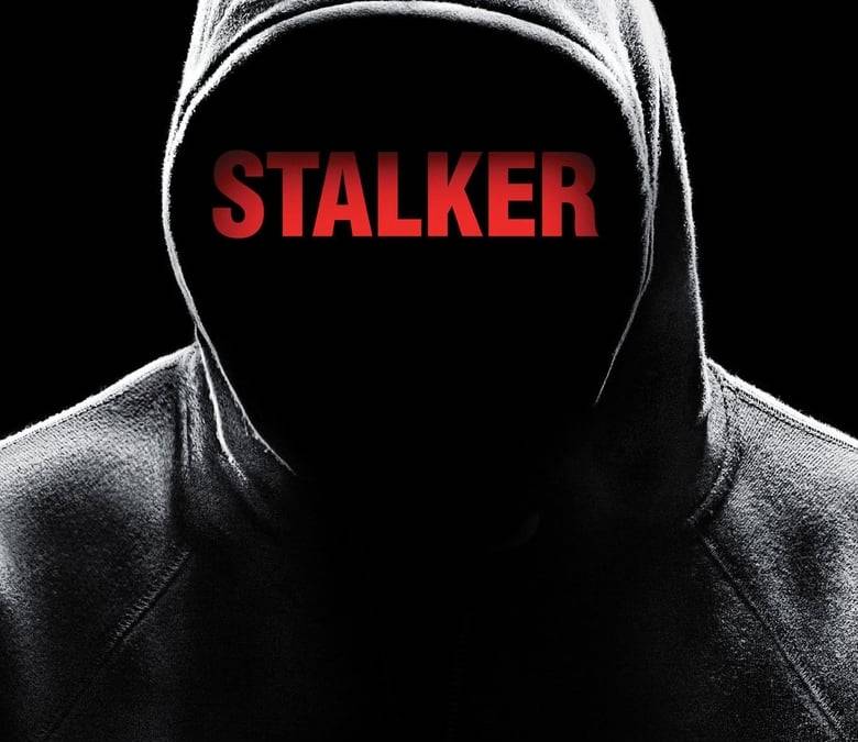 Stalker Summary, Trailer, Season List, Cast, Where to Watch and More