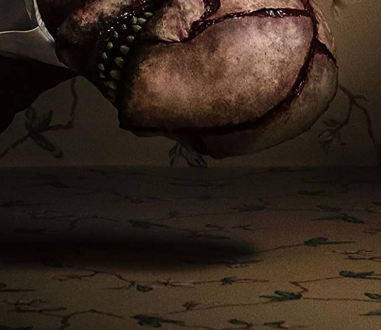 The Look-See Summary, Trailer, Season List, Cast, Where to Watch and More
