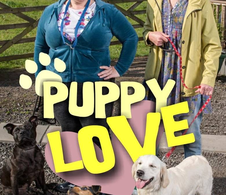 Puppy Love Summary, Trailer, Season List, Cast, Where to Watch and More
