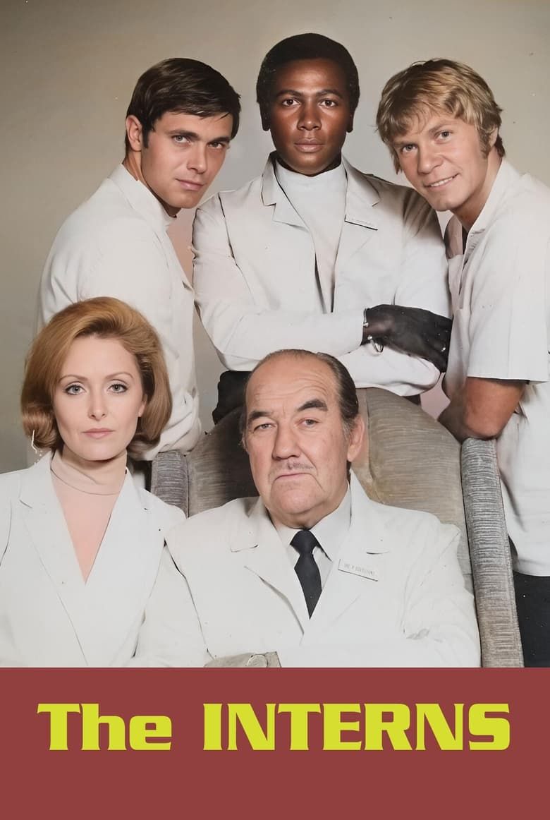 The Interns Summary, Trailer, Season List, Cast, Where to Watch and More