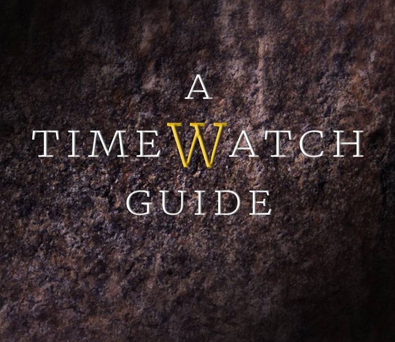 A Timewatch Guide Summary, Trailer, Season List, Cast, Where to Watch ...