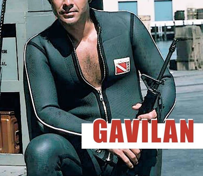Gavilan Summary, Trailer, Season List, Cast, Where to Watch and More