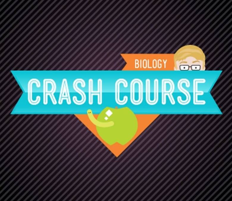 Crash Course: Biology Summary, Trailer, Season List, Cast, Where to ...