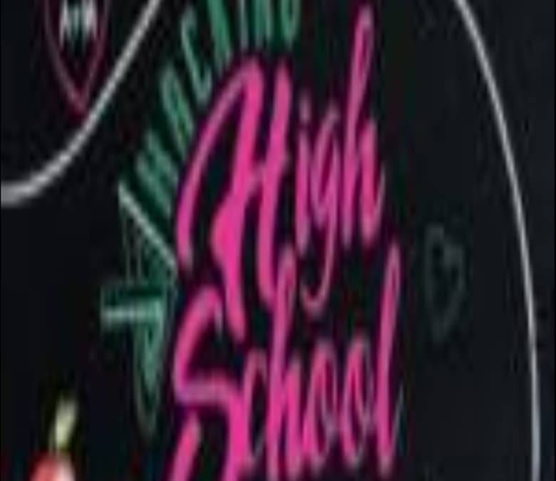 Hacking High School Summary, Trailer, Season List, Cast, Where to Watch ...