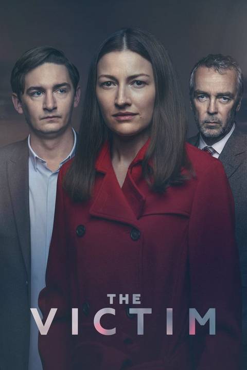 7 Best Shows To Watch Like Netflix's Dept. Q