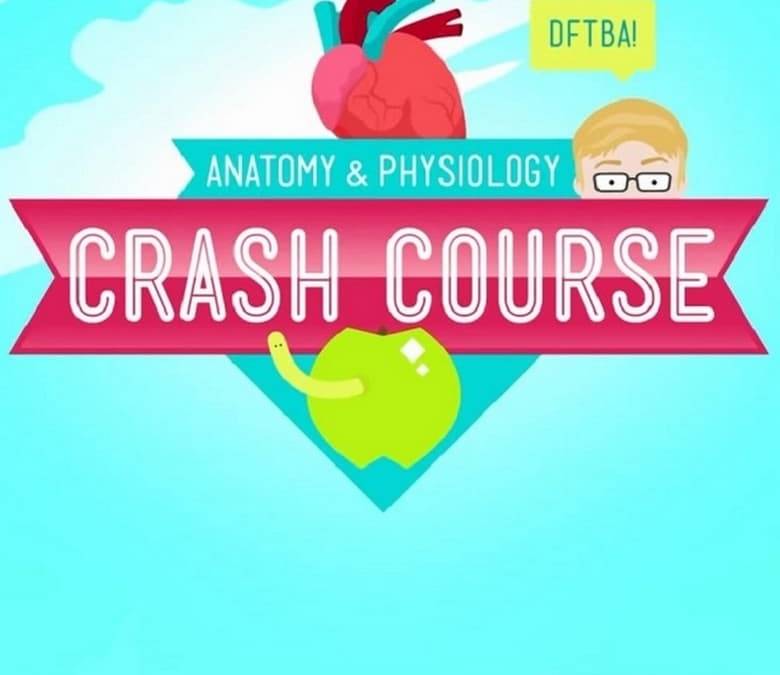 Crash Course: Anatomy & Physiology Summary, Trailer, Season List, Cast ...