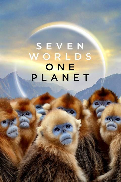 15 Best Nature Documentaries, Ranked