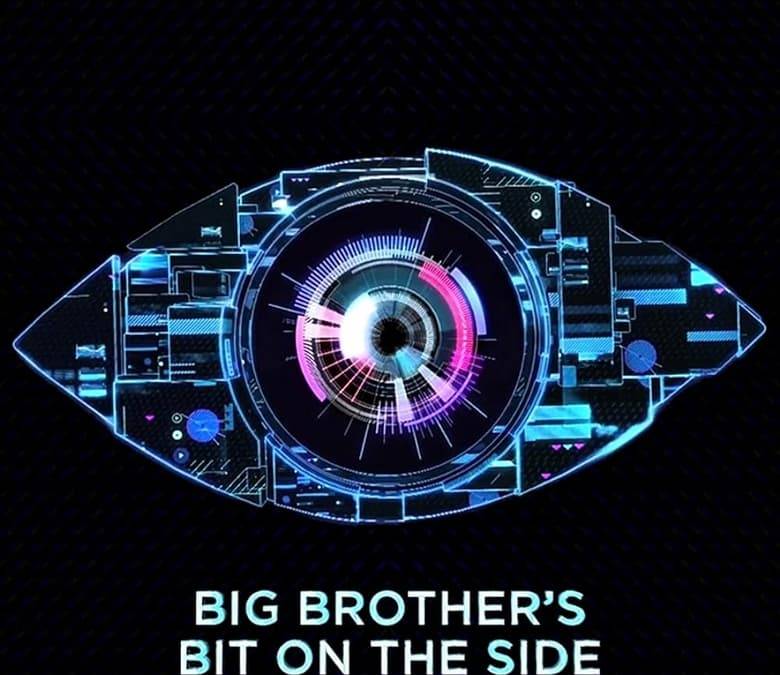 Big Brother's Bit on the Side Summary, Trailer, Season List, Cast ...