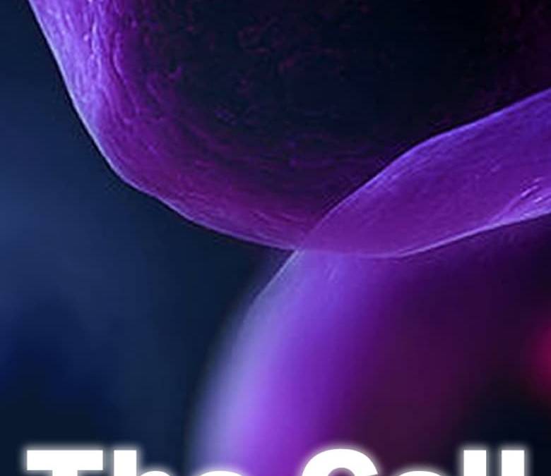 The Cell Summary, Trailer, Season List, Cast, Where to Watch and More