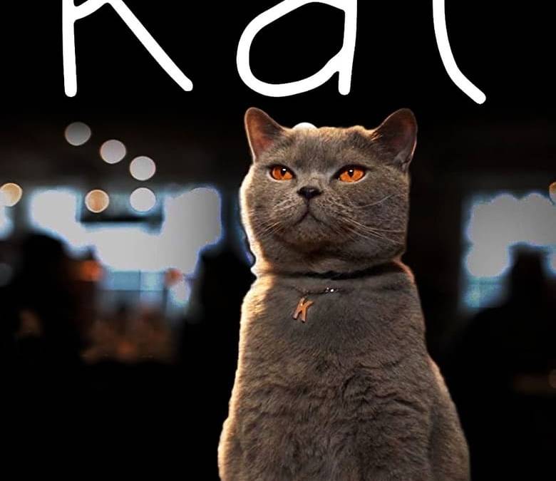 Kat Summary, Trailer, Season List, Cast, Where to Watch and More