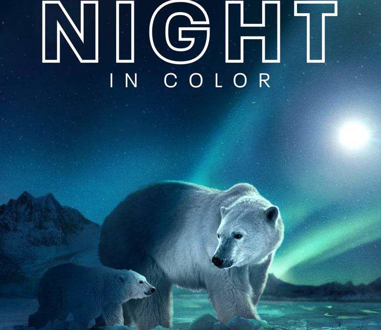 Earth at Night in Color Summary, Trailer, Season List, Cast, Where to ...
