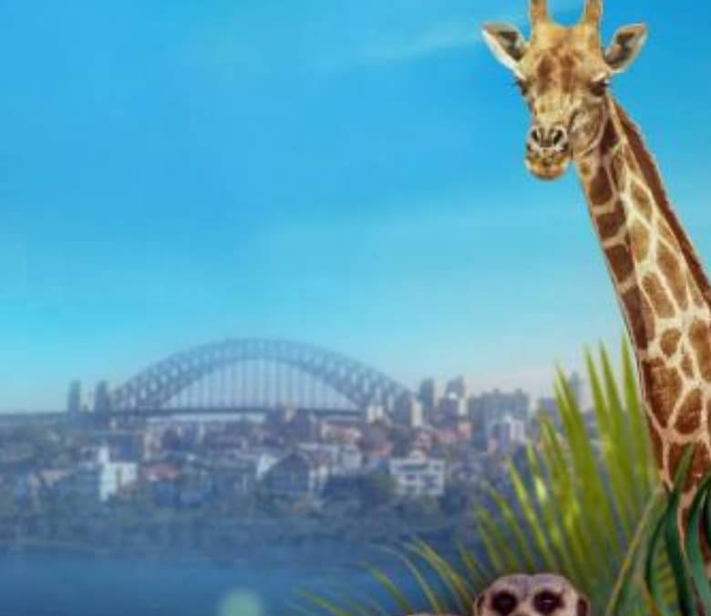 Taronga: Who's Who in the Zoo Summary, Trailer, Season List, Cast ...