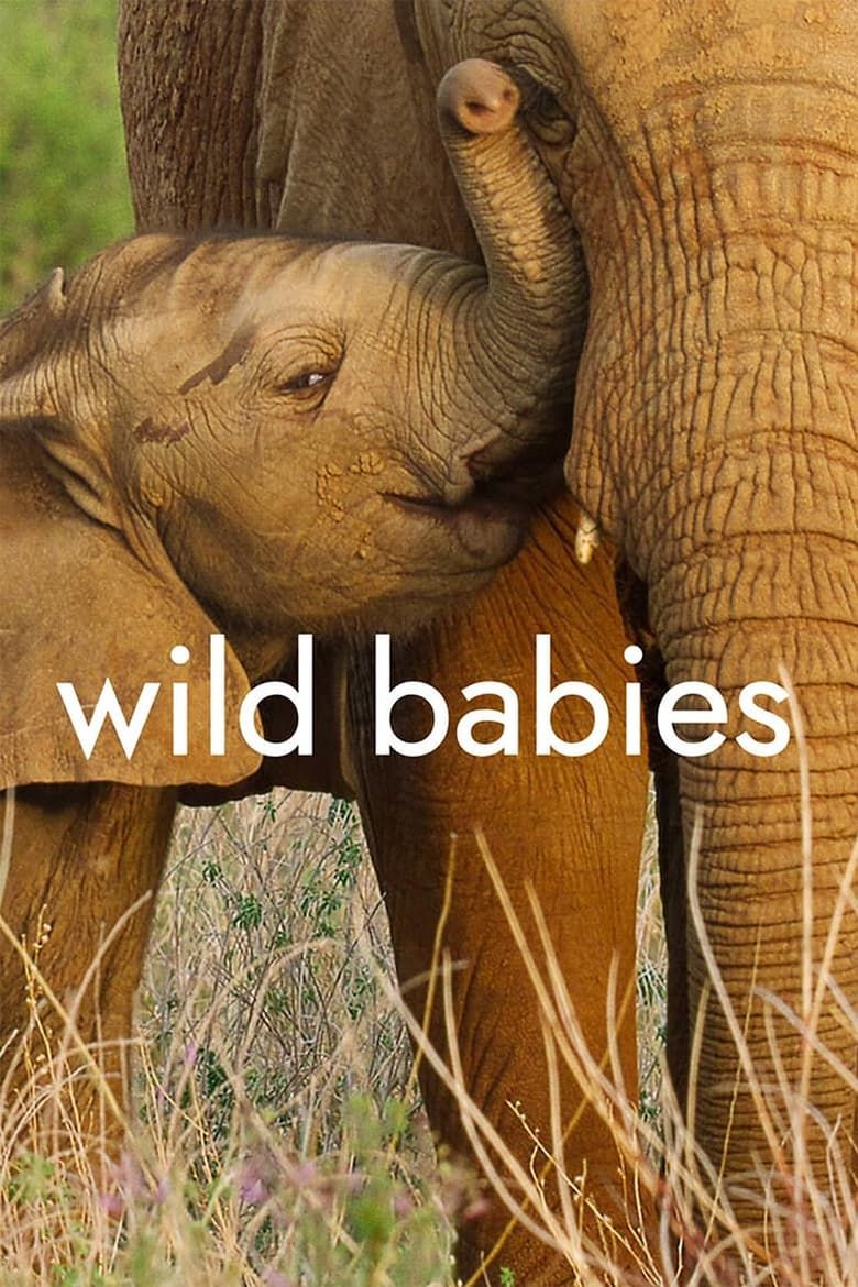 Wild Babies Summary, Latest News, Trailer, Season List, Cast, Where to ...