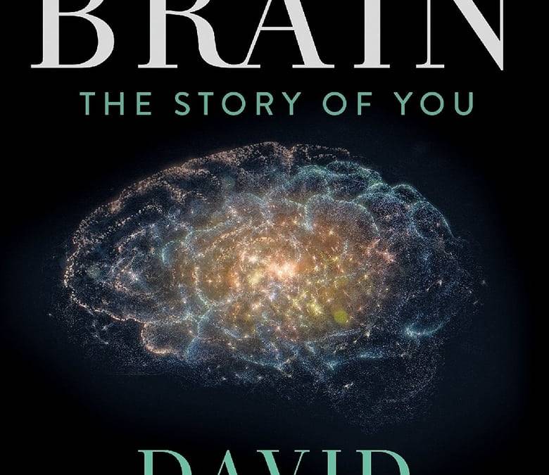 The Brain with Dr. David Eagleman Summary, Trailer, Season List, Cast ...