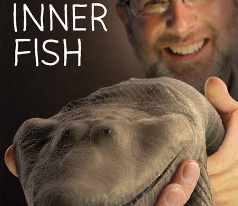 Your Inner Fish Summary, Trailer, Season List, Cast, Where to Watch and ...