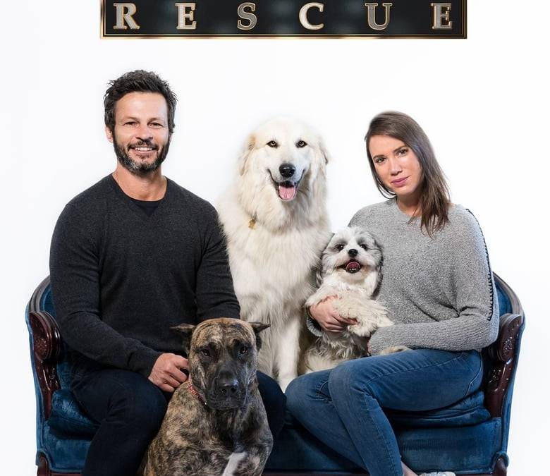 Dog Tales Rescue Summary, Trailer, Season List, Cast, Where to Watch ...