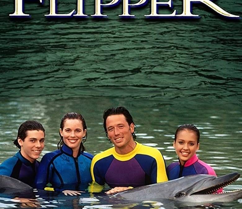Flipper Summary, Trailer, Season List, Cast, Where to Watch and More
