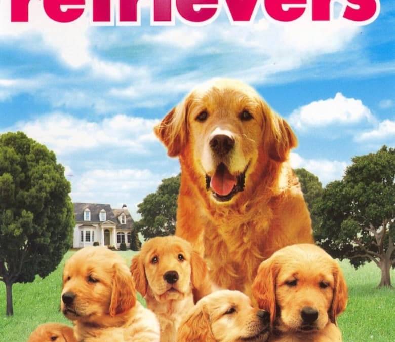 The Retrievers Summary, Trailer, Season List, Cast, Where to Watch and More