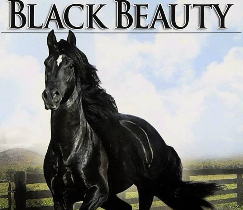 Black Beauty Summary, Trailer, Season List, Cast, Where to Watch and More