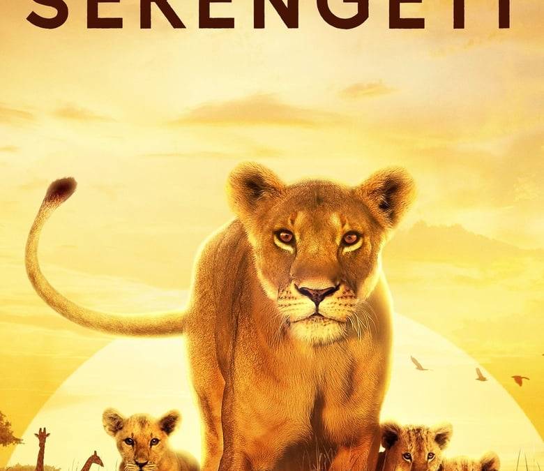 Serengeti Summary, Trailer, Season List, Cast, Where to Watch and More