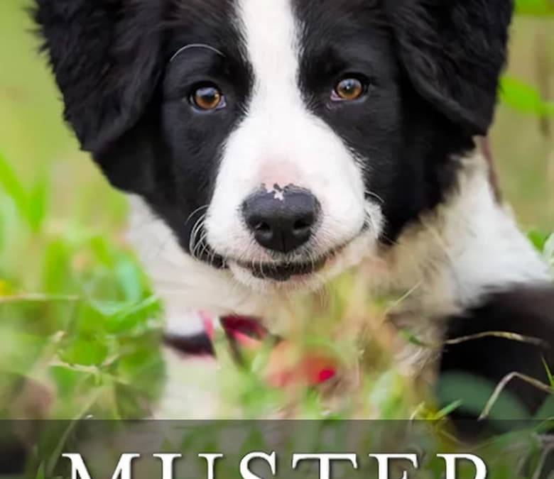 Muster Dogs Summary, Trailer, Season List, Cast, Where to Watch and More