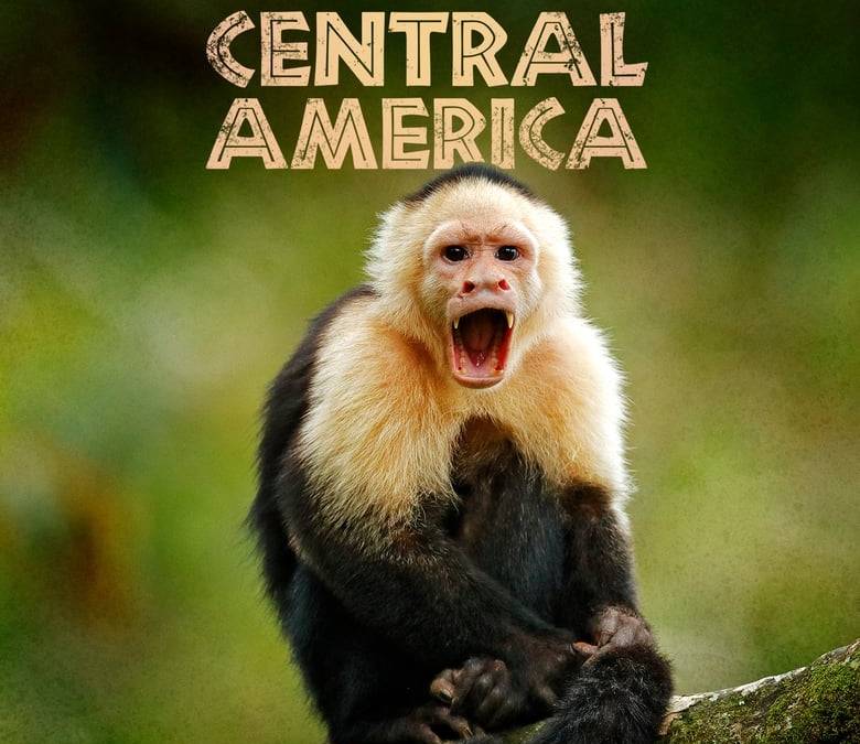 Wild Central America Summary, Trailer, Season List, Cast, Where to ...