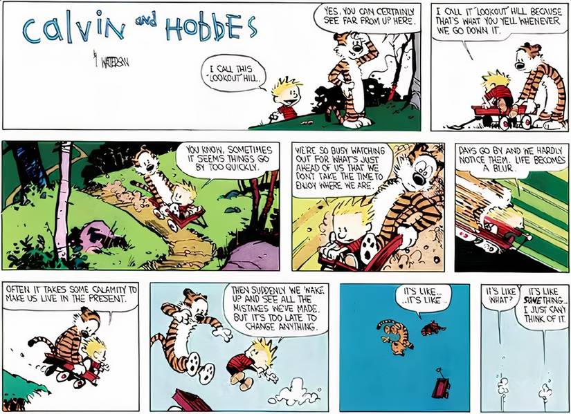 10 Times Calvin and Hobbes Made Surprisingly Insightful Commentary on ...