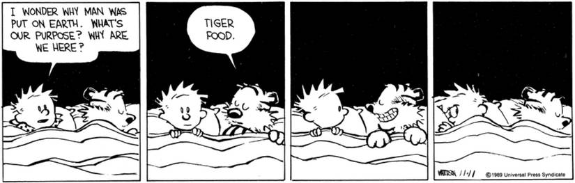 10 Classic Calvin and Hobbes Comics That Just Turned 30: Read