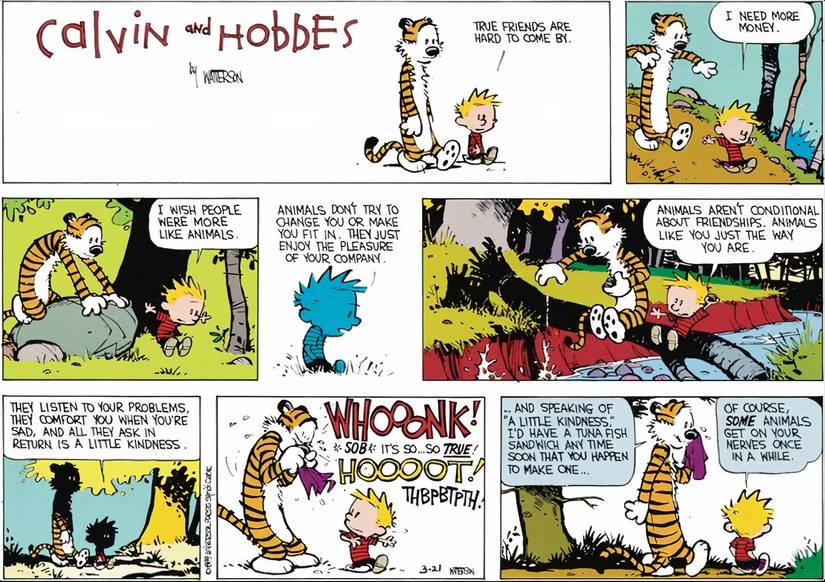 10 Times Calvin and Hobbes Made Surprisingly Insightful Commentary on ...