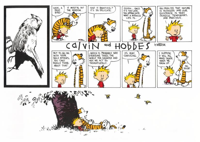 10 Calvin and Hobbes Comics All About the Call of Nature