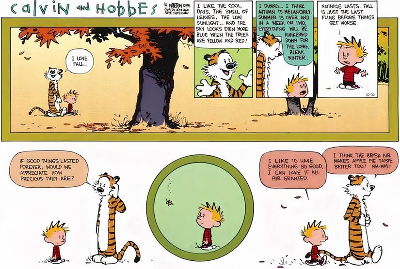 10 Calvin and Hobbes Comics All About the Call of Nature