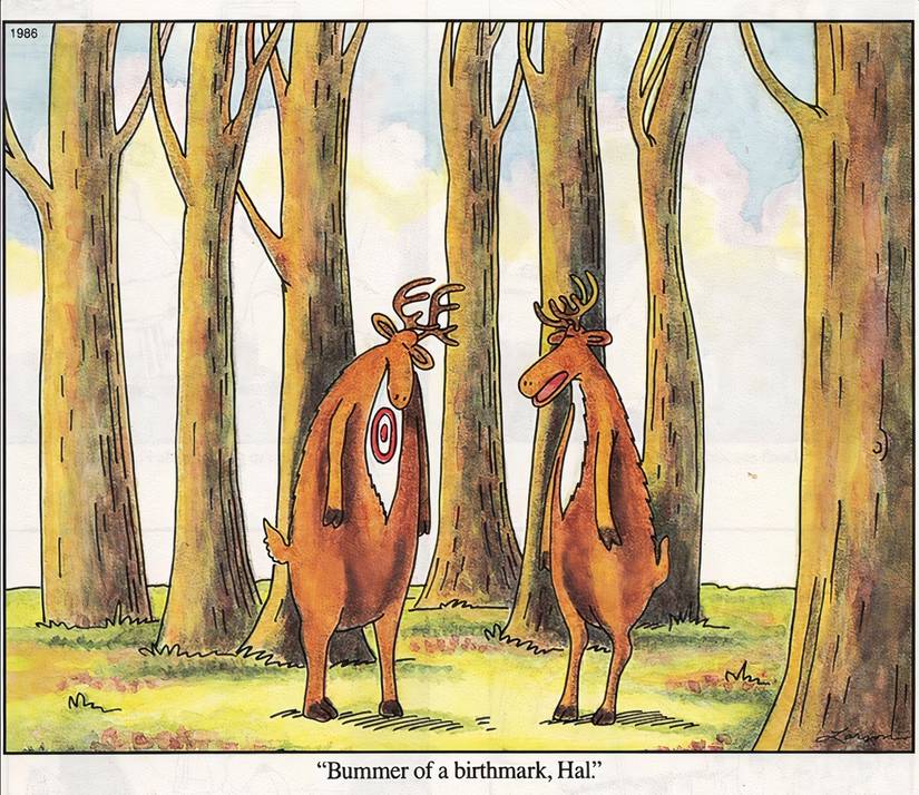 10 Times Far Side’s Humor Forever Changed Our View on Animals