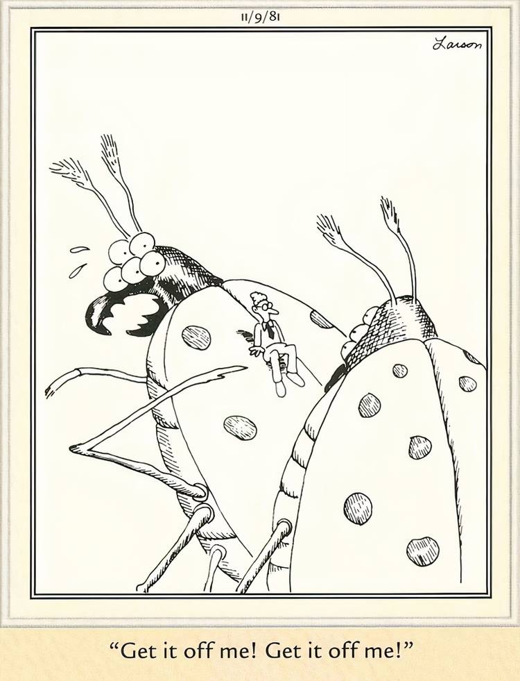 10 Far Side Comics That Put Pixar's A Bug's Life to Shame