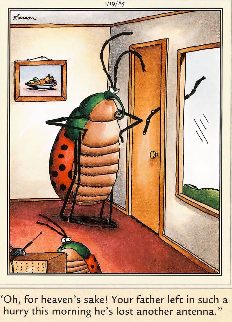10 Far Side Comics That Put Pixar's A Bug's Life to Shame