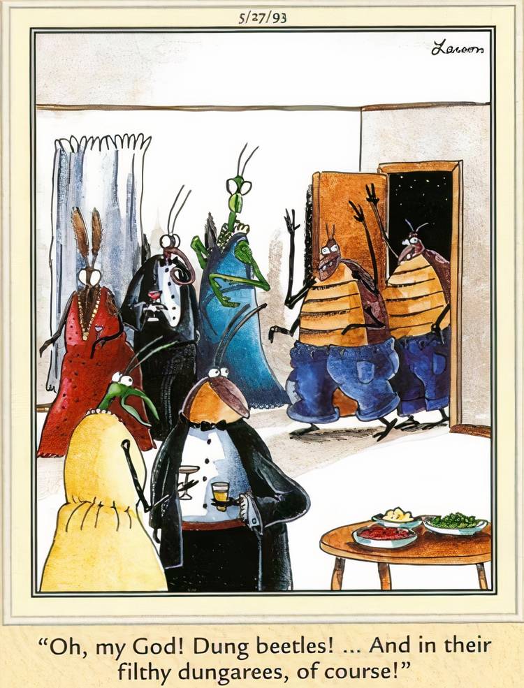 10 Far Side Comics That Put Pixar's A Bug's Life to Shame