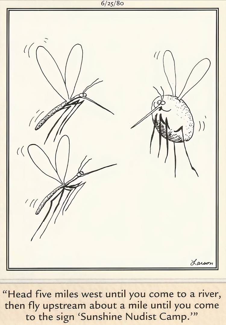 10 Far Side Comics That Put Pixar's A Bug's Life to Shame