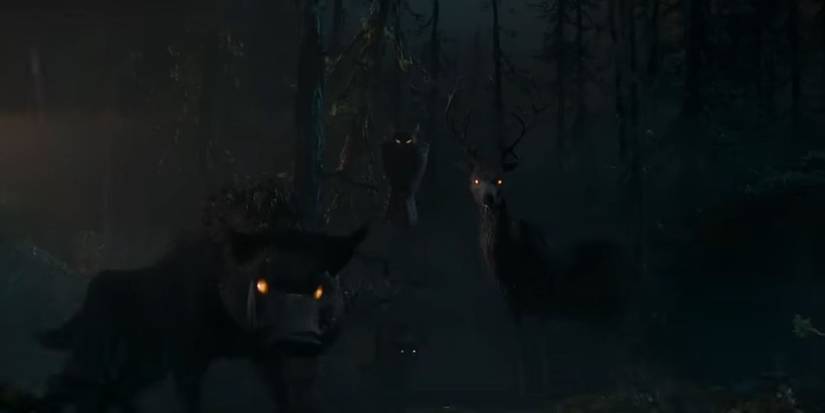 Wildwood: Cast, Story, Trailer & Everything We Know About The Next ...